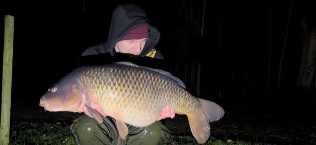 Pb common | Total Carp